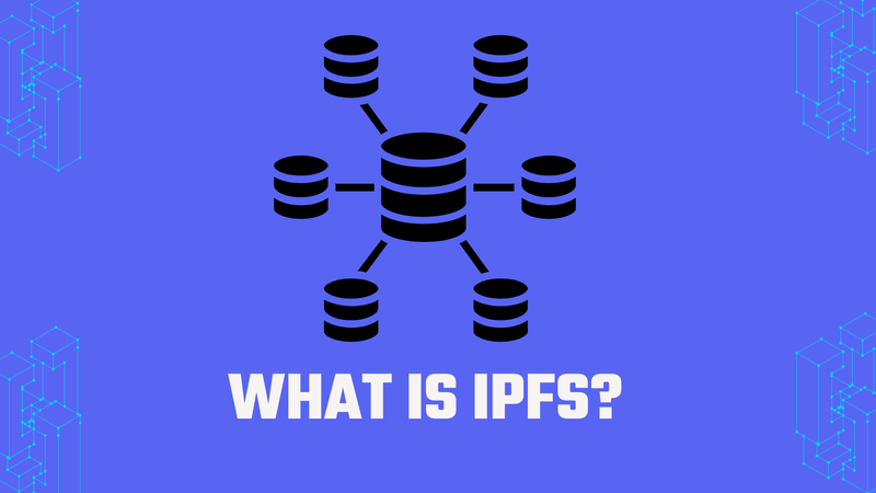 Spydra Blog | What is IPFS? Understanding Decentralized Protocols for File Storage